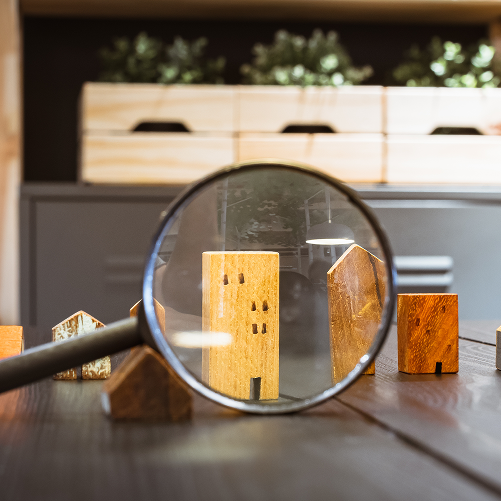 Services – AFRI COMPLIANCE