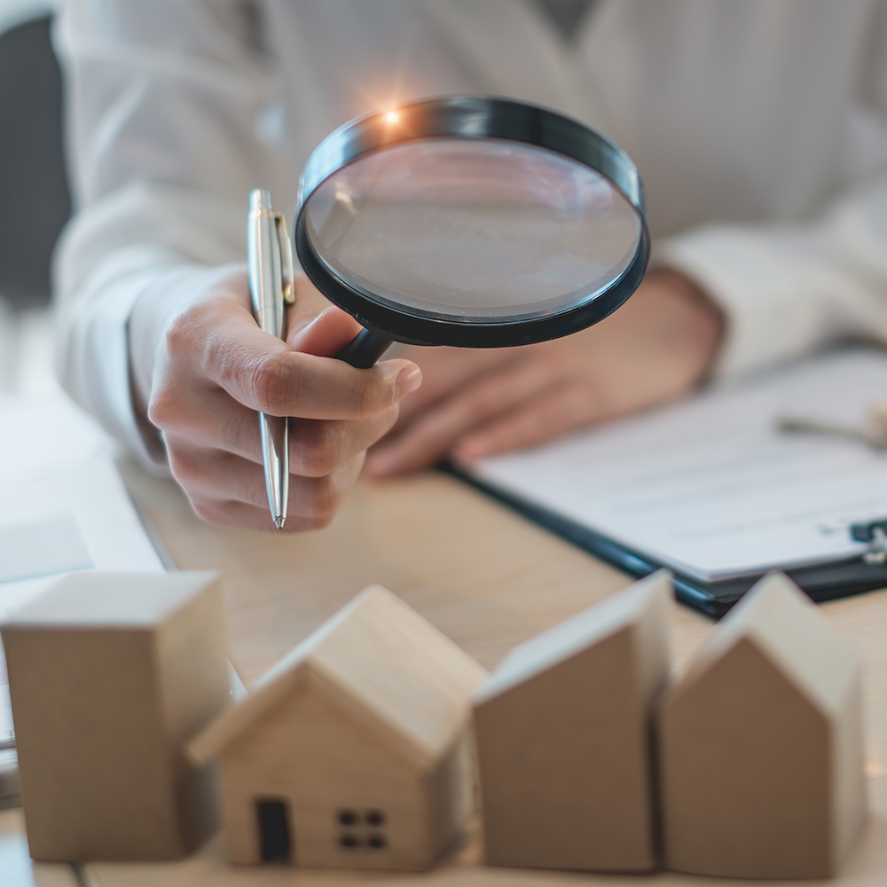 Services – AFRI COMPLIANCE